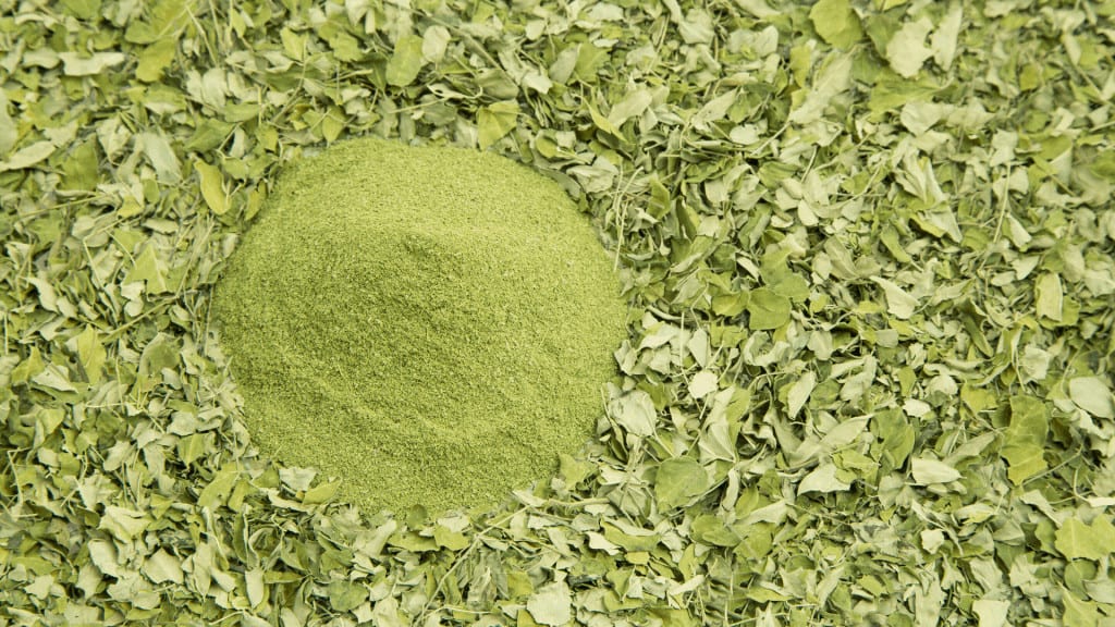 Moringa 101 [Why Everyone Needs a Miracle Tree and How to Grow It ...