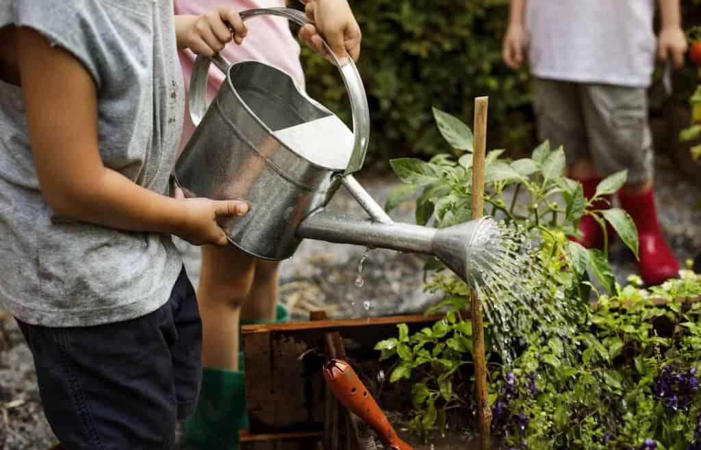 Mittleider Gardening Method - More Food From Your Garden! - Outdoor ...