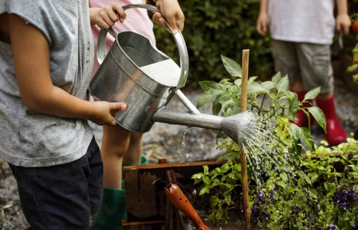 Mittleider Gardening Method - More Food From Your Garden! - Outdoor ...