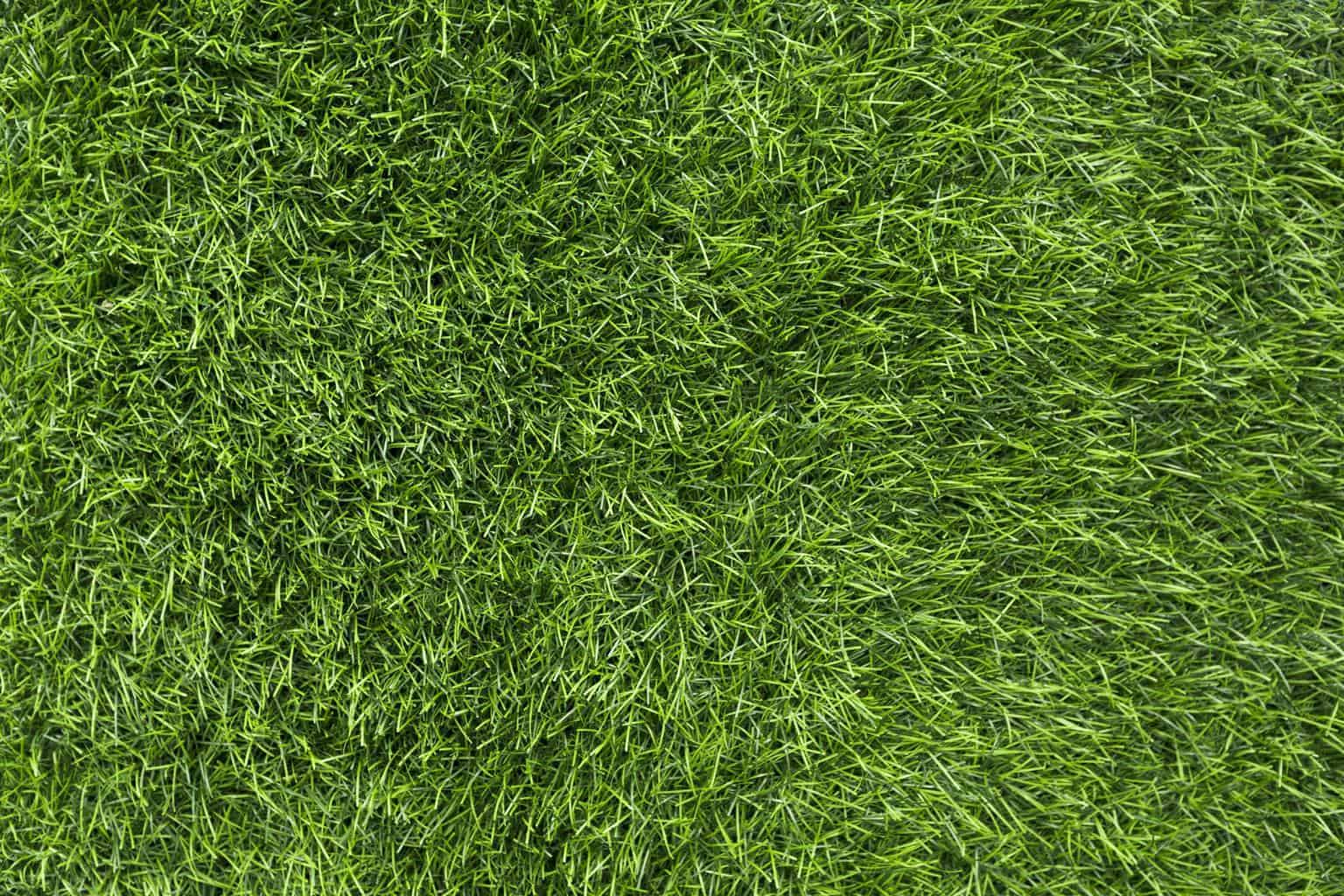 What Is Sod and How to Use It for an Instant Lawn [2023 Guide ...