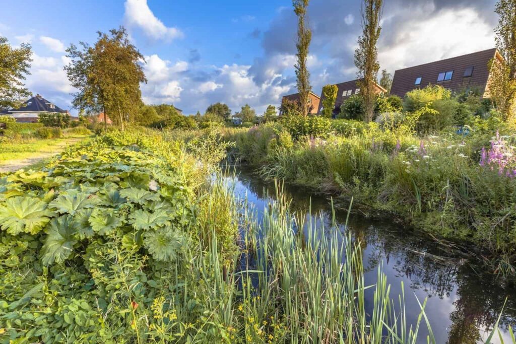 How to Make a Drainage Ditch Look Good [25+ Ideas!] - Outdoor Happens ...