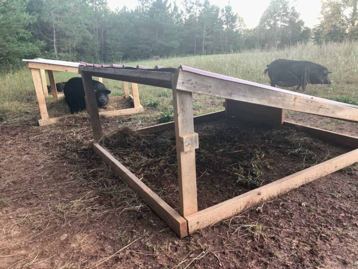 How to Build an Easy Pig Hut Shelter [With Step by Step Instructions ...