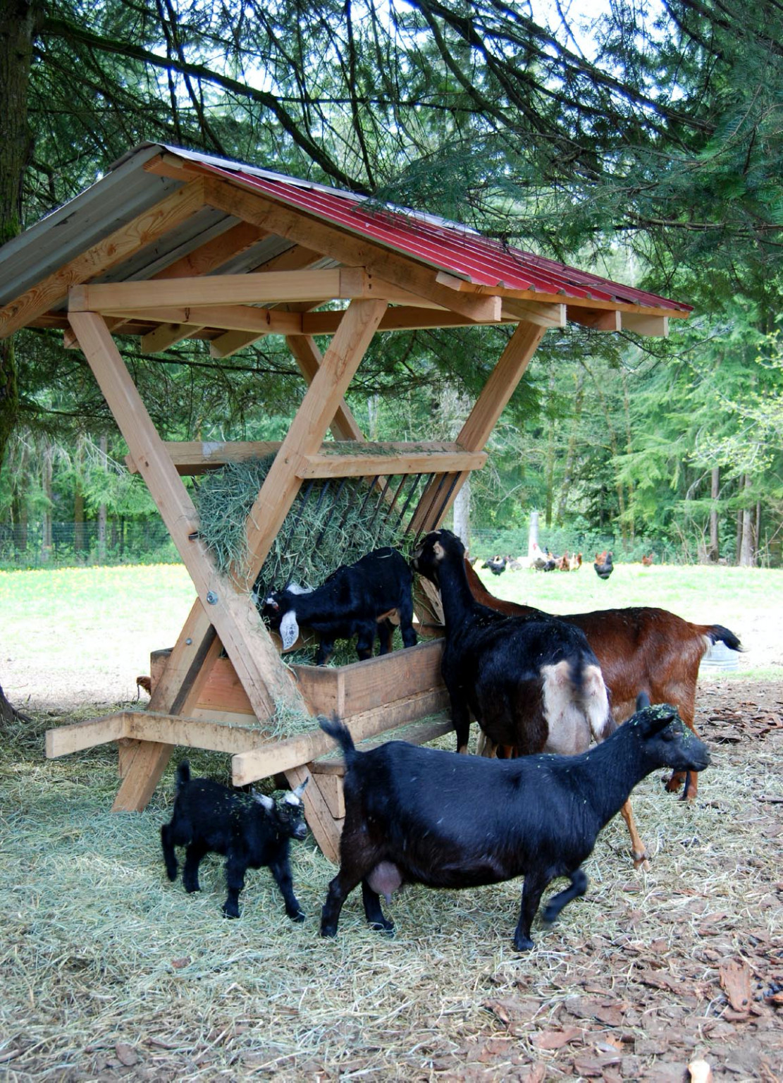 19 Portable Goat Shelter Ideas to DIY or Buy [for Small Farms With Big ...