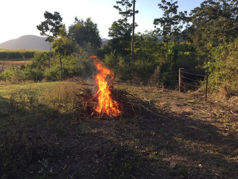 How to Start a Fire In a Fire Pit the Easy Way - Outdoor Happens