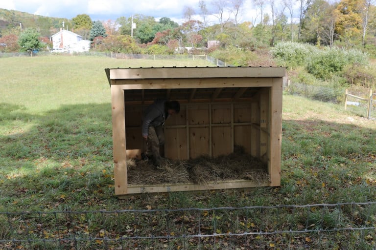 19 Portable Goat Shelter Ideas to DIY or Buy [for Small Farms With Big ...