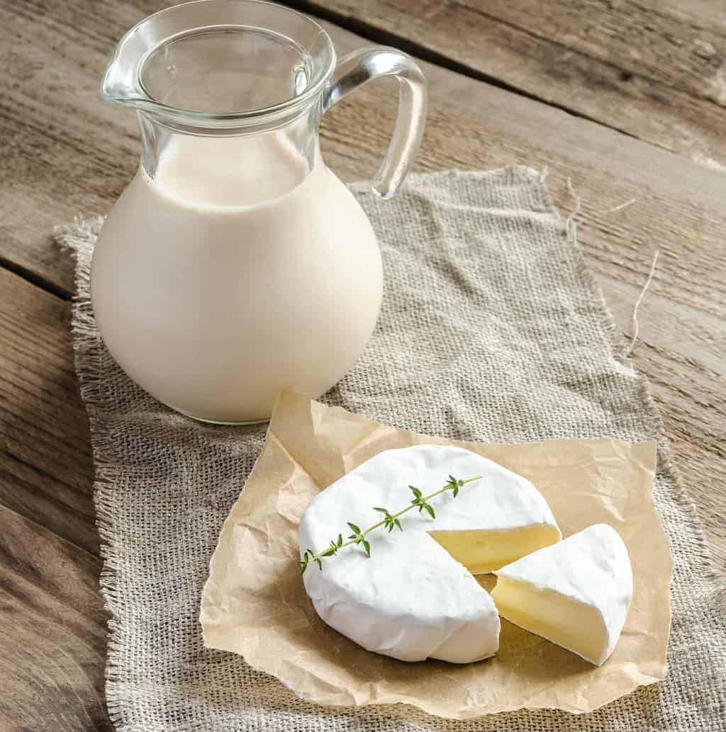 5 Homemade Cheese Recipes That Are Super Easy to Make Yourself ...