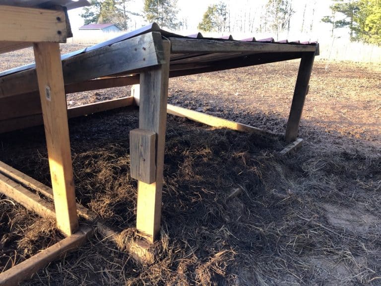 How to Build an Easy Pig Hut Shelter [With Step by Step Instructions ...