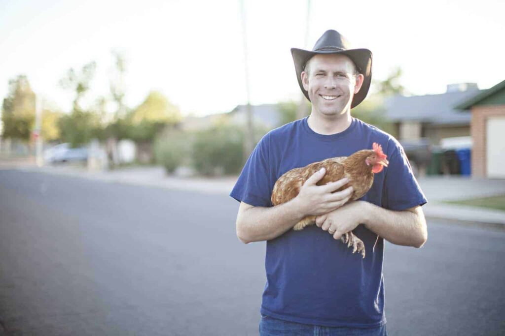Decoding the Americana Chicken | Egg Color, Appearance, and Temperament ...