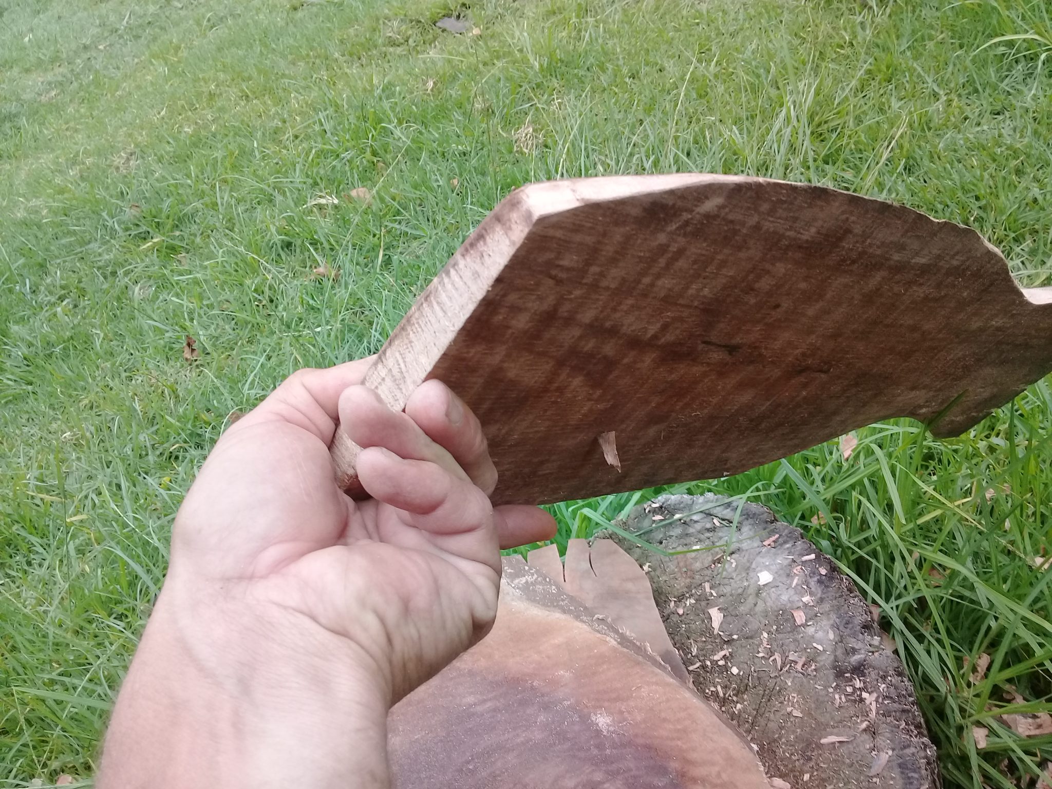 How to Make a Wooden Decoy Bird to Protect Your Garden - Outdoor Happens