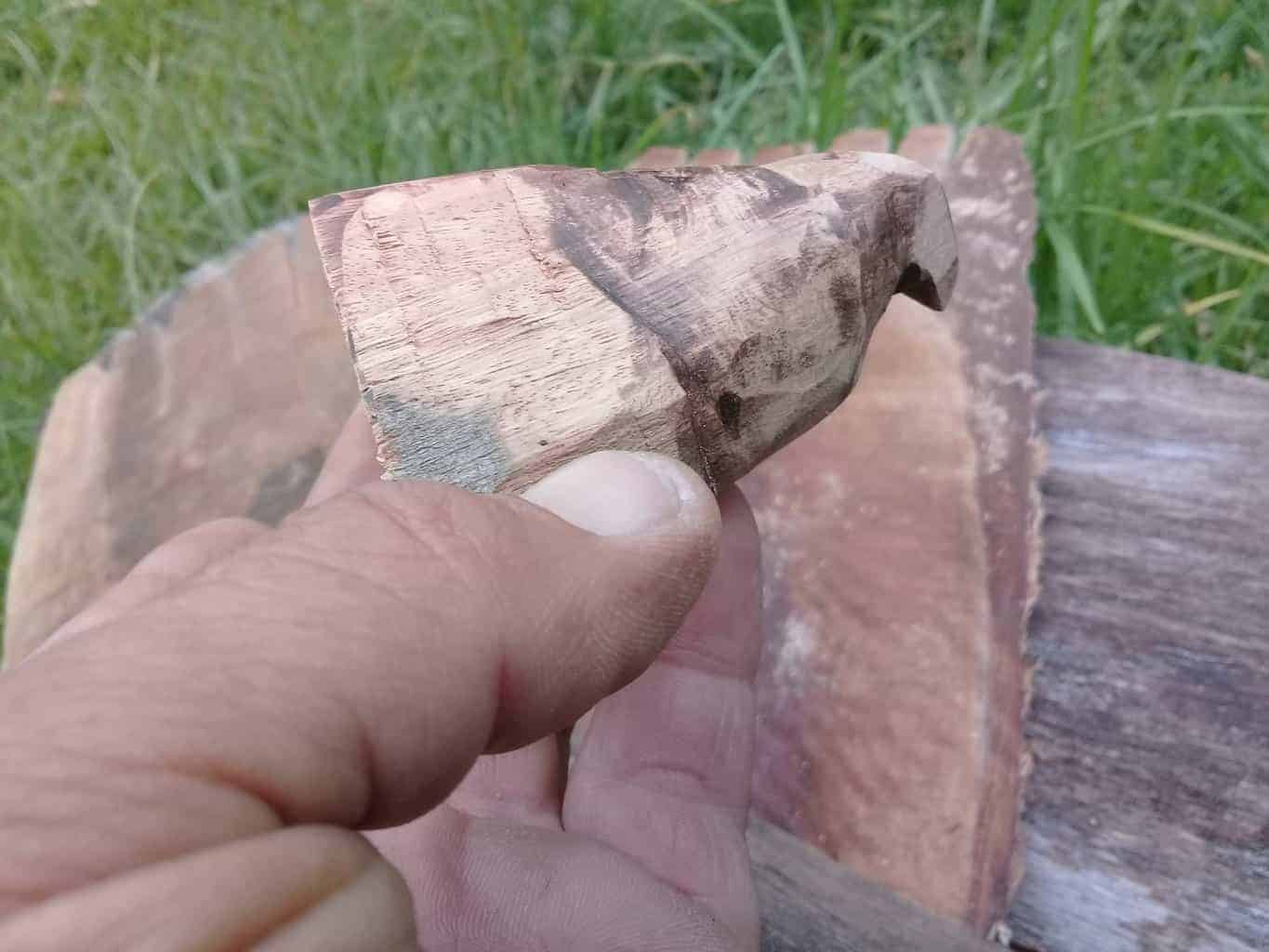 How to Make a Wooden Decoy Bird to Protect Your Garden - Outdoor Happens