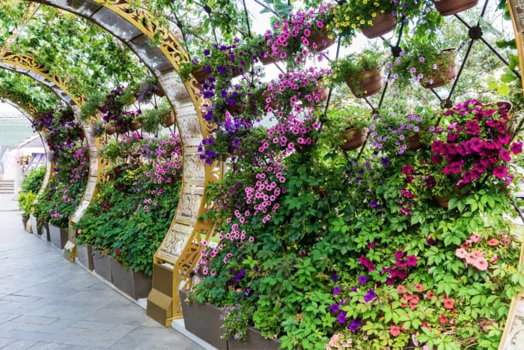 25 Flowering Trailing Plants That’ll Brighten Your Day - Outdoor ...