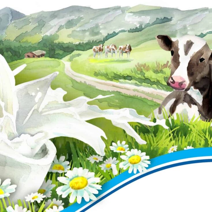 Best Cow for Milk - The 7 Best Dairy Cow Breeds For Your Homestead ...