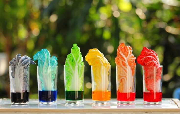 Nature Science Activities for Kids Inspired by the Garden - Outdoor ...