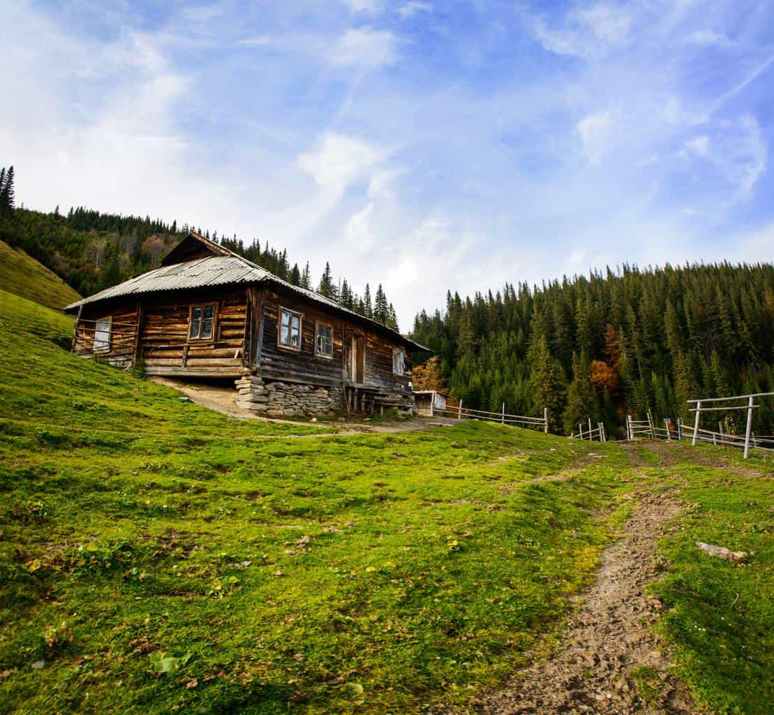 Free Homesteading Resources - Outdoor Happens Homestead