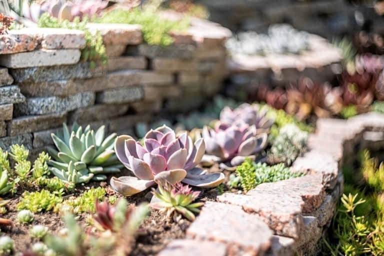 How to Make a Rockery Garden - All In One Guide! - Outdoor Happens ...