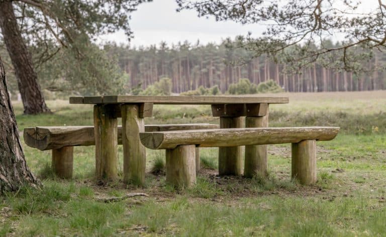 DIY Wood Log Benches: 10 Free Designs and Ideas to Build Your Own ...