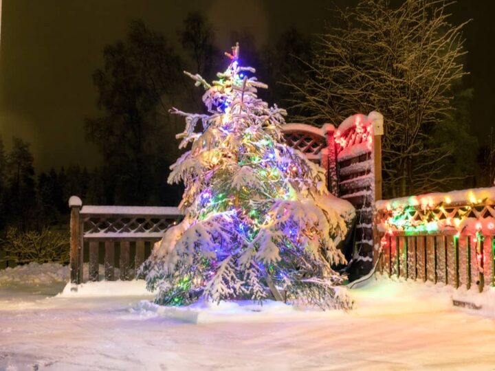16 Festive Christmas Fairy Garden Ideas You Can DIY - Outdoor Happens