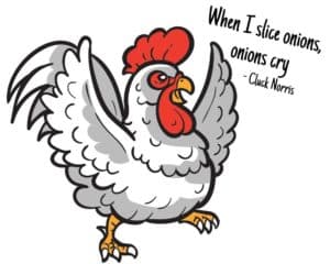 313 Cute and Funny Chicken Names [Almighty List for Hens AND Roosters ...