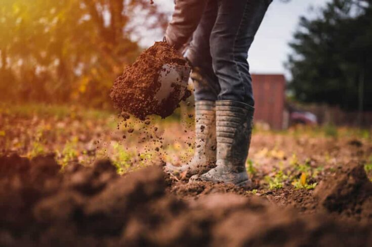 The Best Jeans to Wear With Cowboy Boots [for Women and Men] - Outdoor ...