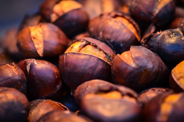 How to Roast Chestnuts on an Open Fire [Step by Step] - Outdoor Happens ...