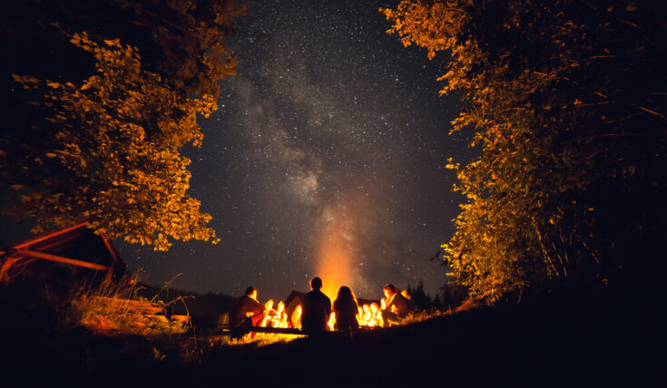 Best Wood for Campfire Guide! Oak vs. Hickory vs. Cedar, and More ...