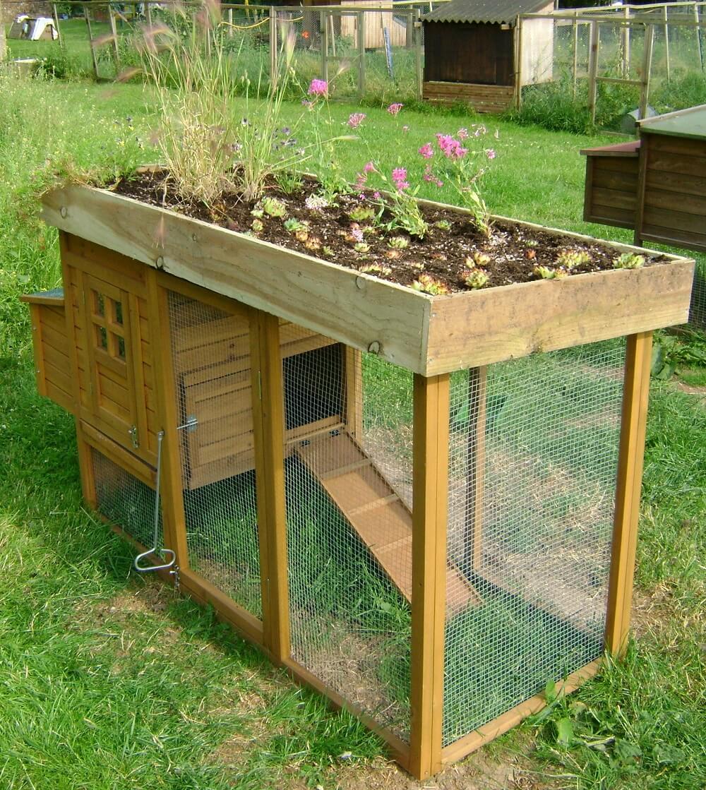Pallet Chicken Coop Plans