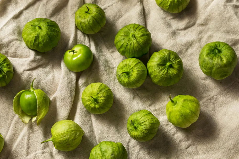 When to Pick Tomatillos for Flavorful, Zesty, and Safe Fruit - Outdoor ...