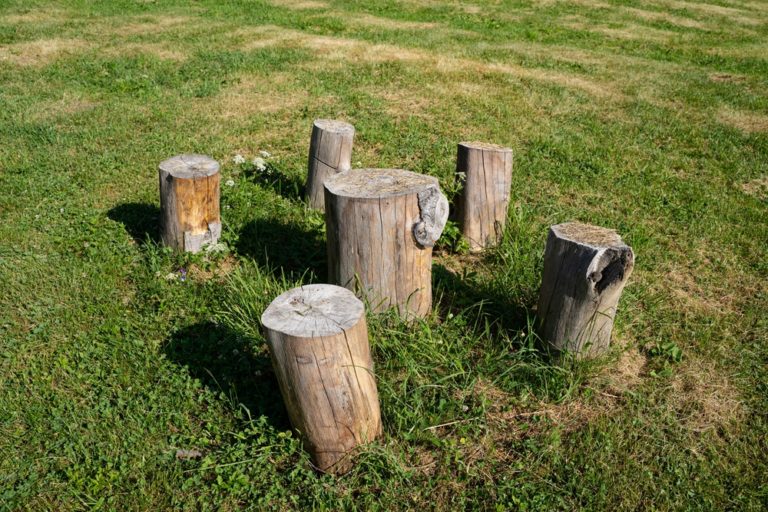 67 Amazing Ideas for Repurposing Logs and Branches