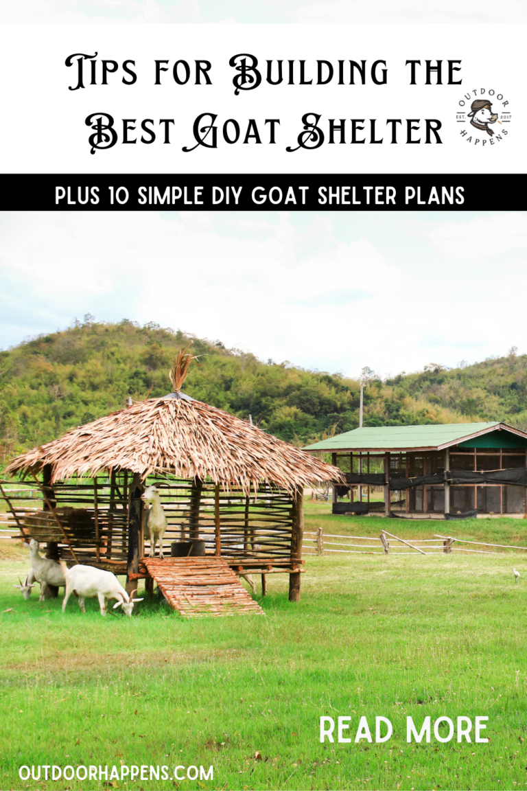 10 DIY Goat Shelter Plans + Tips for Building the Best Goat Shelter ...