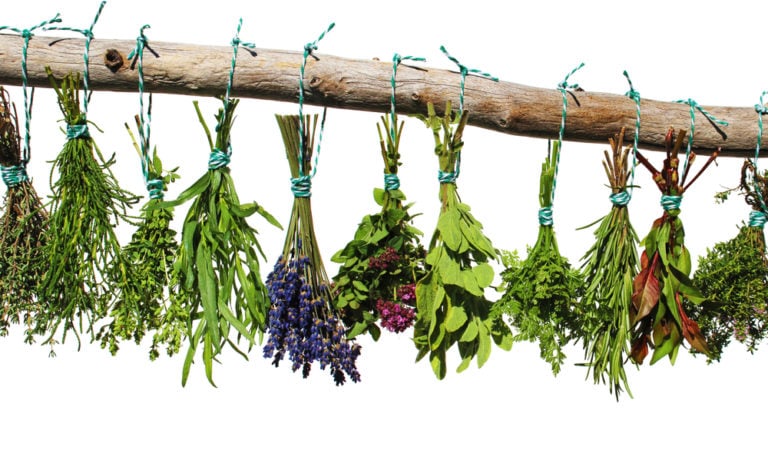 67 Amazing Ideas for Repurposing Logs and Branches