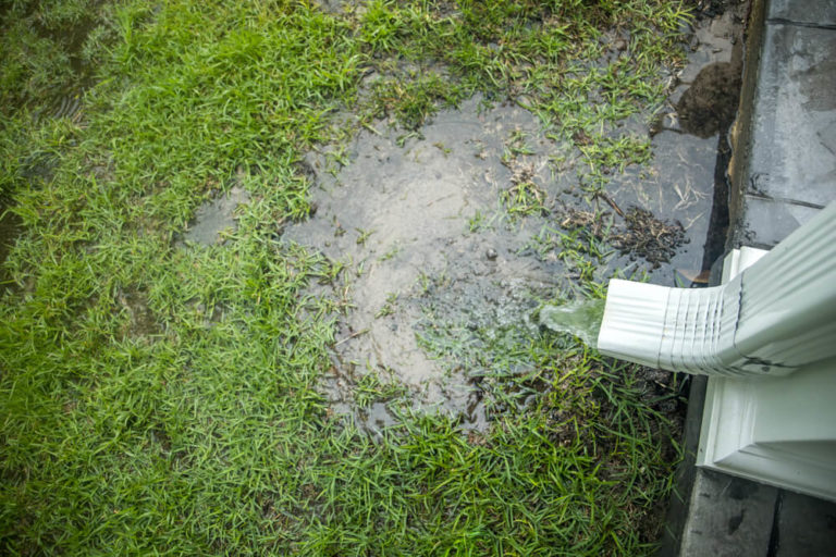 How to Cover Up Mud In Backyard - 5 Easy Ways - Outdoor Happens Homestead