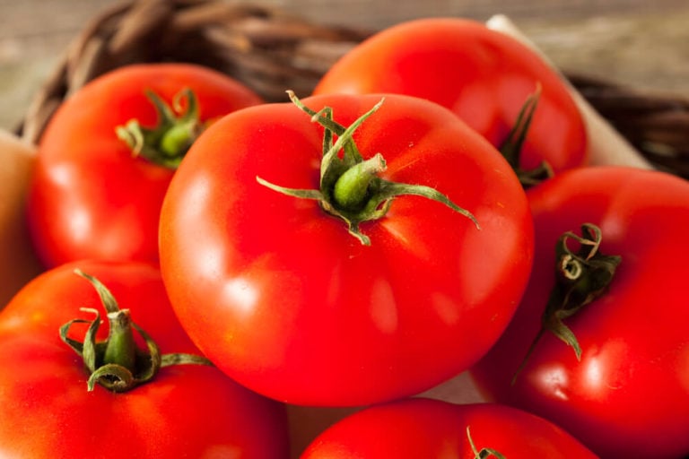 13 Tastiest and Best Tomatoes for Containers and Pots ???? | Veggie