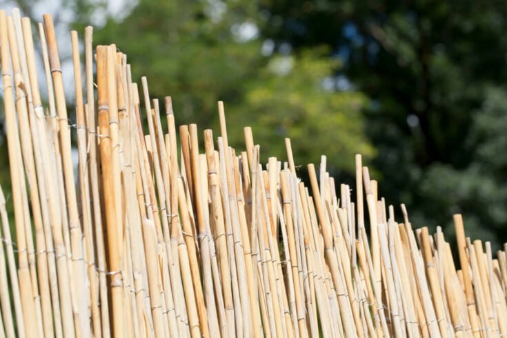 15 Cheap Fence Ideas and Designs for Privacy and Utility - Outdoor Happens