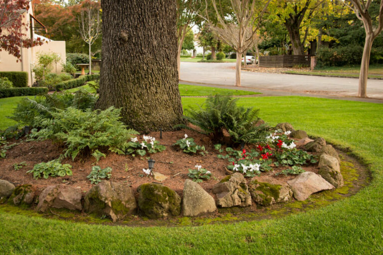 9 Creative Landscaping Ideas Around Tree Roots [Moss, Mulch, and Fairy ...