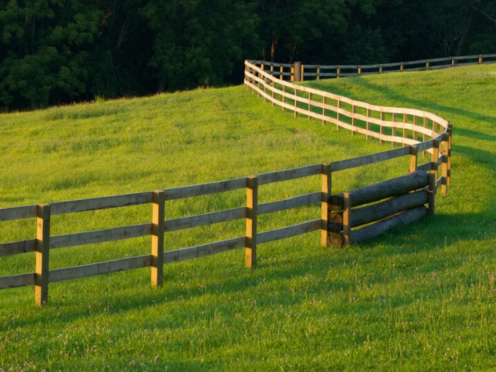 5+ Easiest Fences to Install Yourself [Without a Big Budget] 🏡