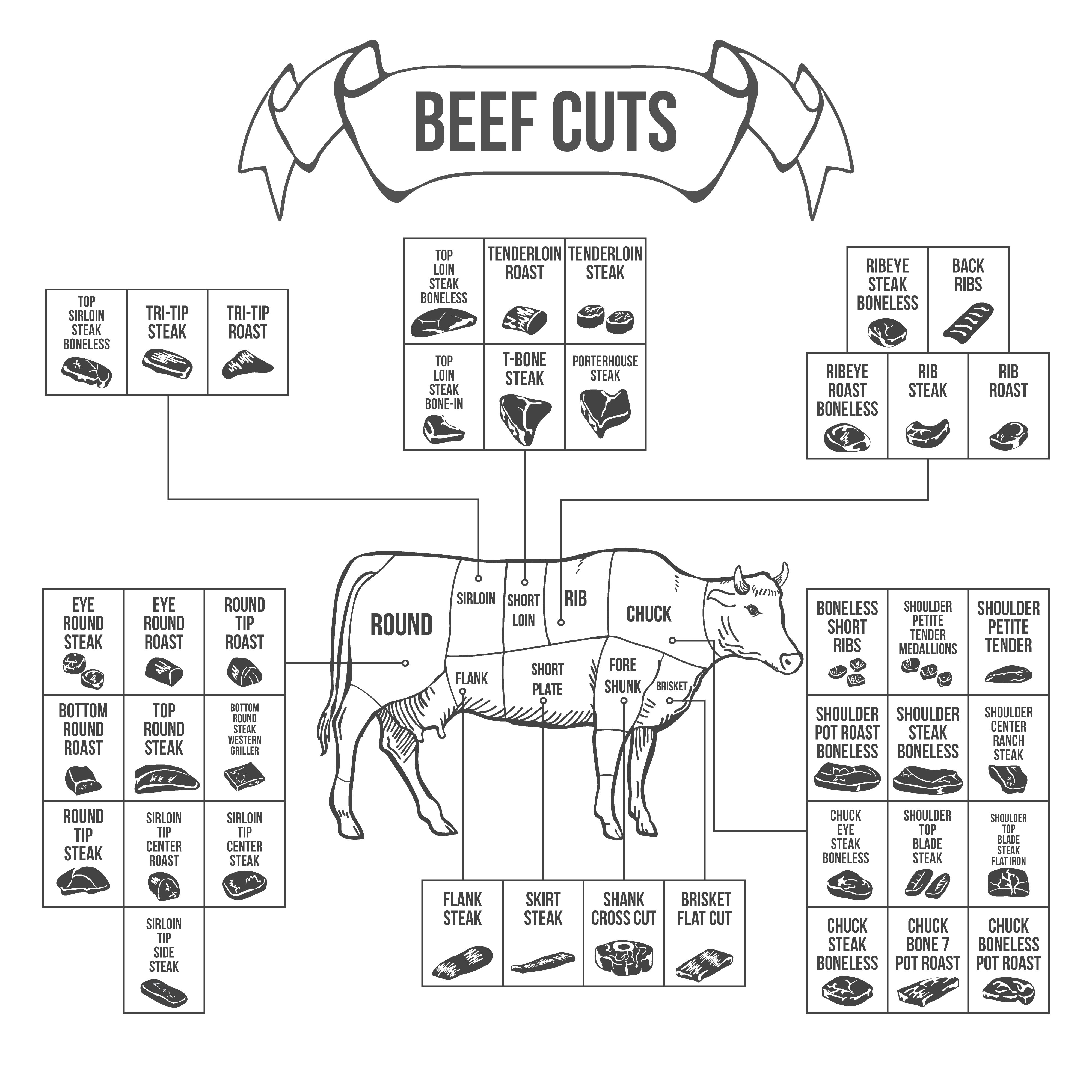 How Much Meat Is Half a Cow? [Weight, Cost, and Storage Guide ...