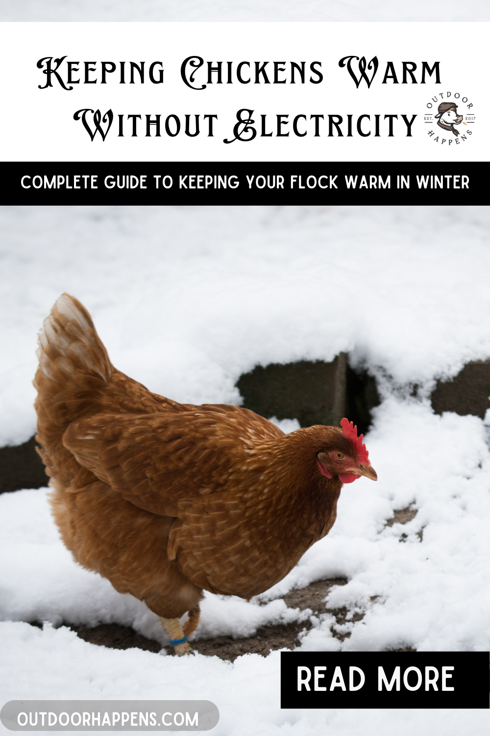 How to Keep Chickens Warm In Winter Without Electricity - Outdoor Happens