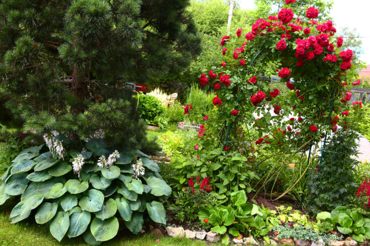 Out of Sight, Out of Mind: 15 Landscaping Ideas To Hide Utility Boxes ...