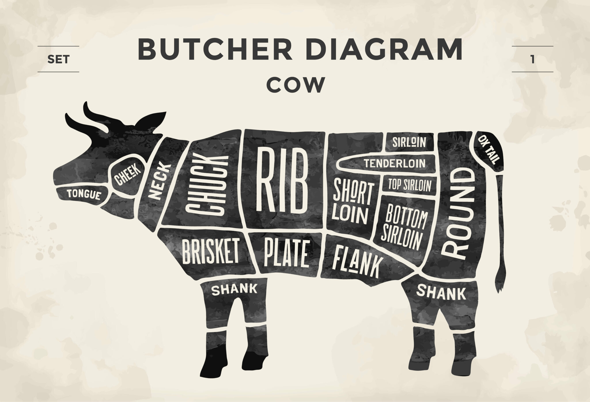 How Much Meat Is Half a Cow? [Weight, Cost, and Storage Guide ...