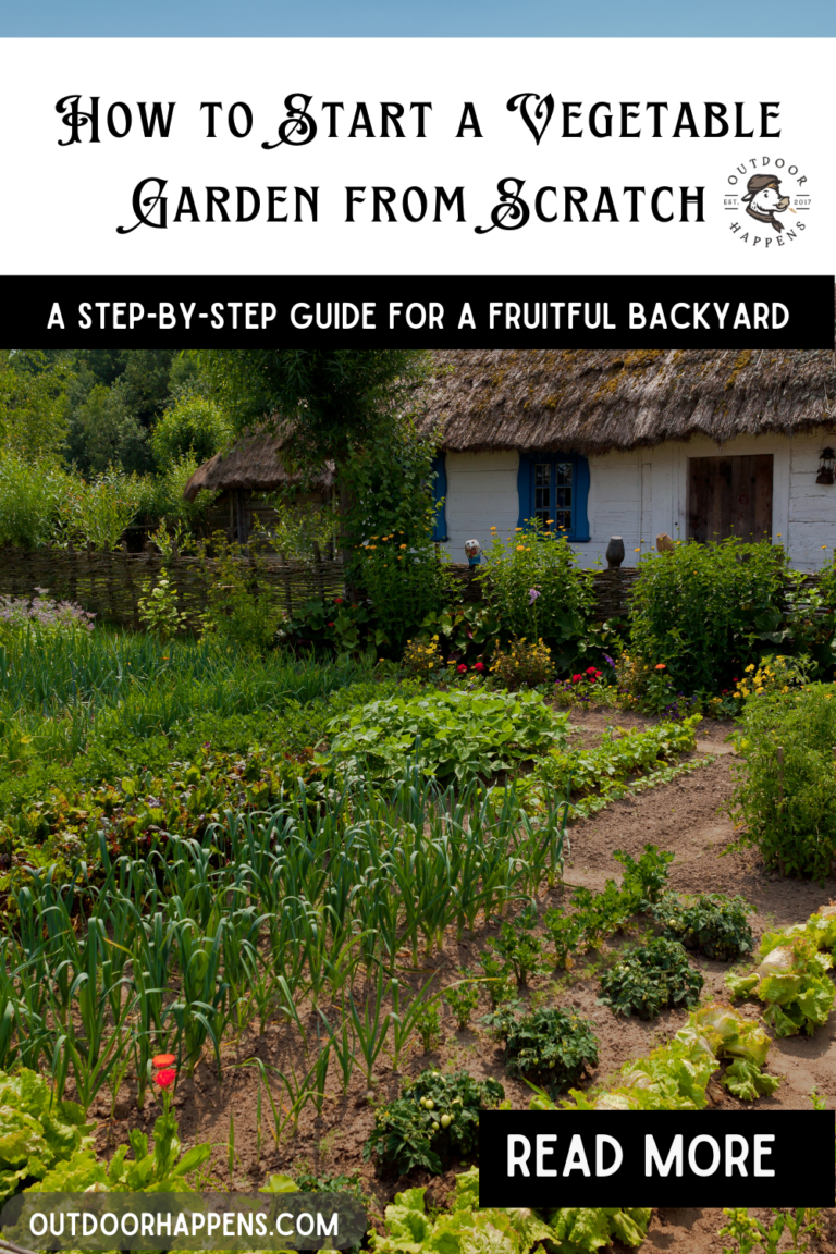 How to Start a Vegetable Garden From Scratch In Your Backyard [Step-by-Step Guide] - Outdoor ...