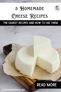 7 Homemade Cheese Recipes That Are Super Easy to Make Yourself ...