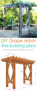 27+ Sturdy Grape Vine Trellis Ideas for Your Backyard Arbor - Outdoor ...