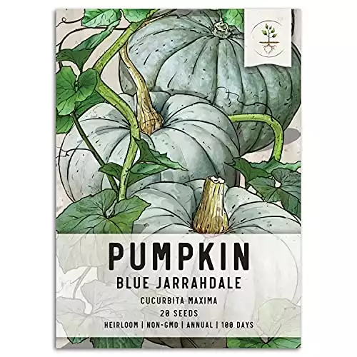 5 Scary Vegetables for Halloween You Can Grow at Home!