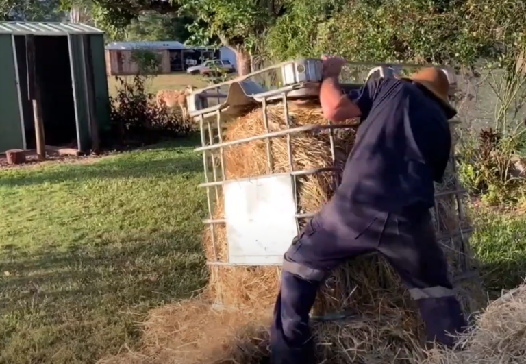 How to Build a DIY Hay Feeder for Cattle for Under $60 - Outdoor ...