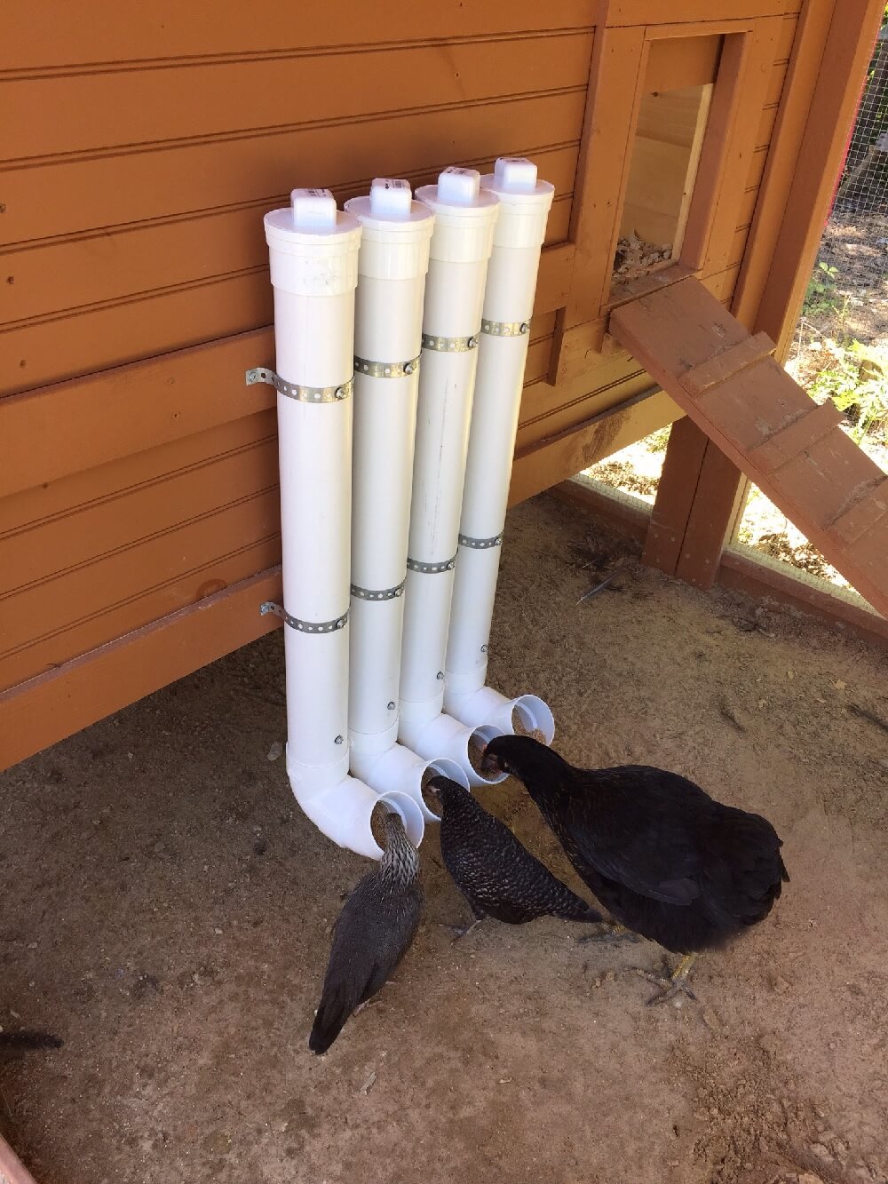 31 DIY PVC Chicken Feeder Ideas to Help Feed Your Hungry Hens, Ducks ...