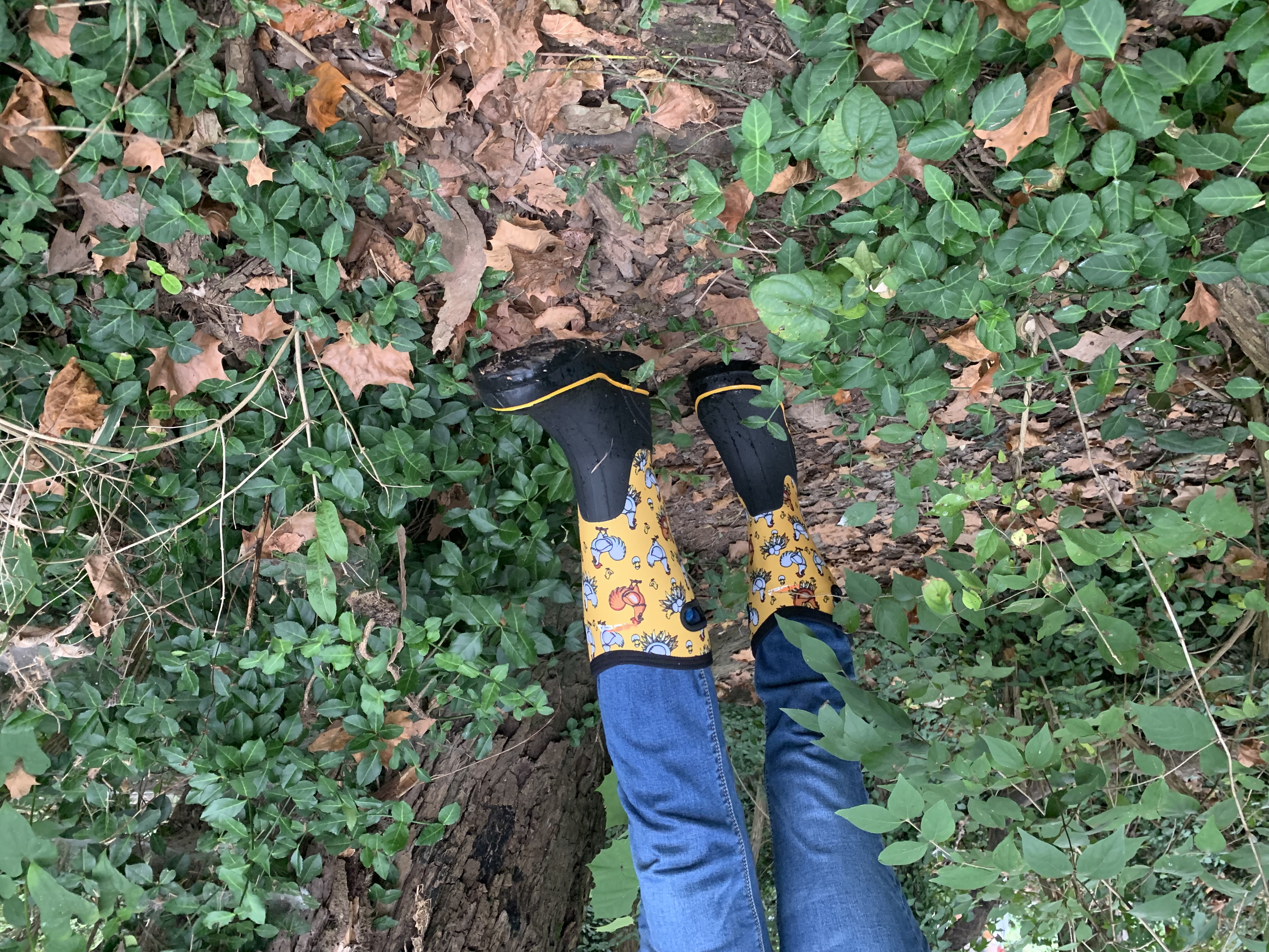Hisea Boots Review: Where Comfort Meets Rugged Reliability - Outdoor ...