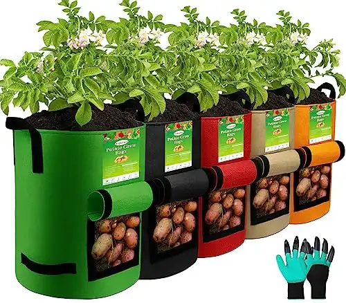 How to Grow Potatoes In a Bucket - The Ultimate Guide! - Outdoor ...