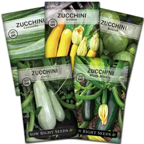 How to Grow Zucchini Vertically: A Complete Guide for a Successful Crop ...