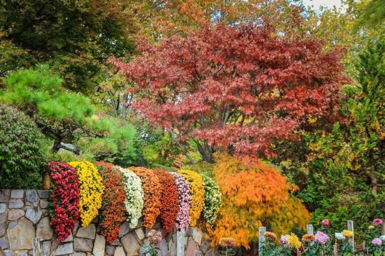 13 Stunning Cascading Plants for Retaining Walls and Hanging Baskets