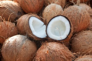 How To Build A Coconut Circle And Grow A Productive Permaculture Haven ...